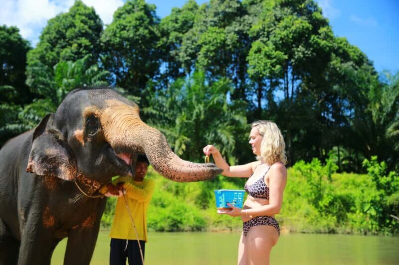 From Khao Lak: Day Trip to Khao Sok with Elephant Camp Visit - FAQ