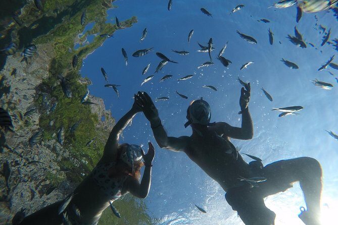 From Khao Lak : Full-Day Private Phi Phi Islands Speedboat Charter - Who Should Consider This Tour?