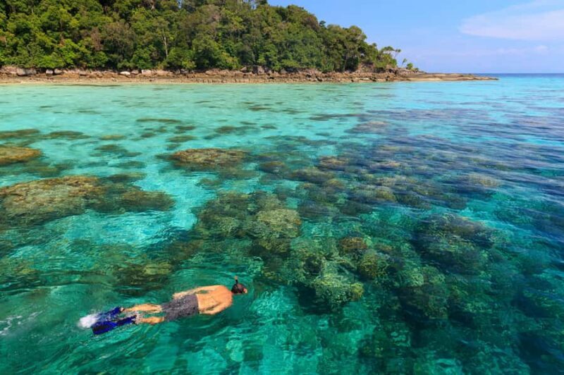 From Khao Lak: Full-Day Snorkeling in the Surin Islands - The Sum Up