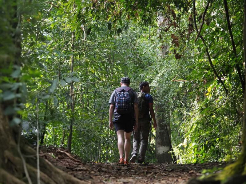 From Khao Lak: Khao Sok Jungle Hike & River Tour - What to Bring and Wear