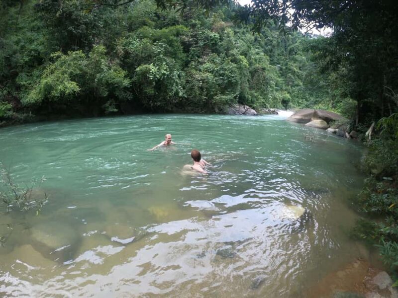 From Khao Lak: Khao Sok Jungle Hike & River Tour - Authentic Experiences and Reviews