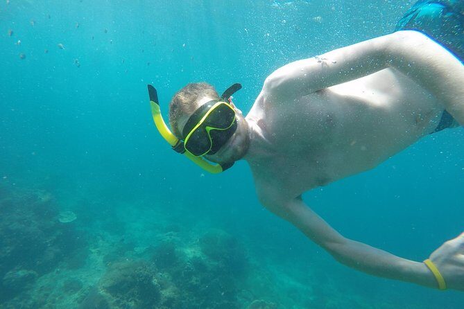 From Khao Lak : Phi Phi Islands Adventure Day Trip with Lunch - Experience and Review Highlights