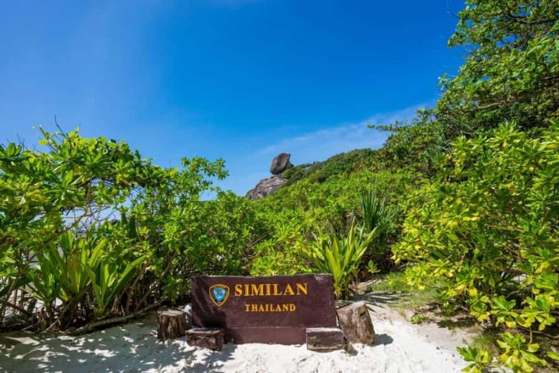 From Khao Lak & Phuket: Similan Islands Snorkeling Day Trip - Authentic Perspectives from Past Travelers