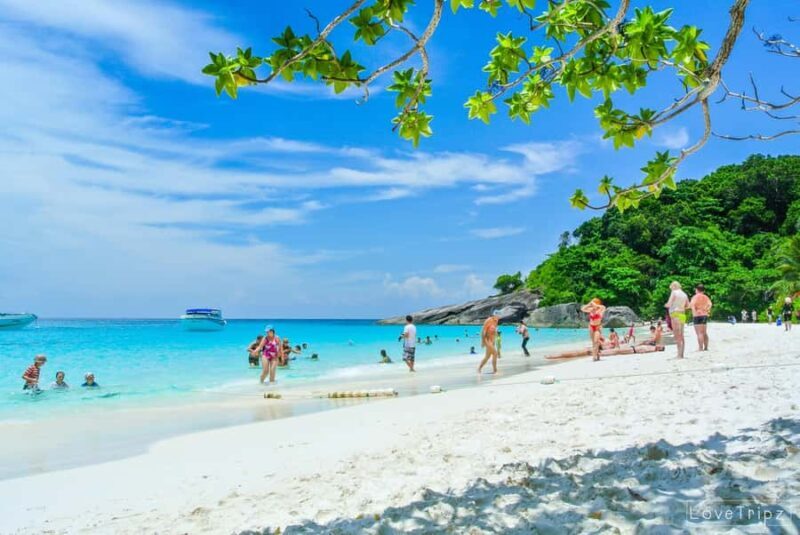 From Khao Lak & Phuket: Trip to Similan Islands by Speedboat - Authentic Feedback & Real Experiences