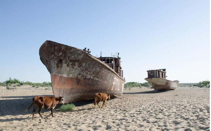 From Khiva To Aral Sea 2-Days One Night In Yurt Stay - The Sum Up