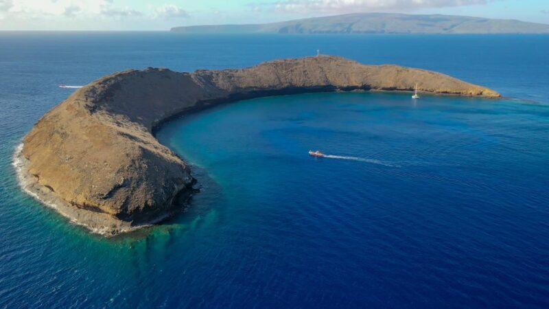 From Kihei: Molokini Crater and Turtle Town Snorkeling - Frequently Asked Questions