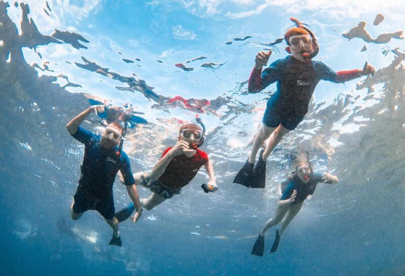 From Kihei: Molokini Snorkel 2-Hour Adventure - Post-Snorkeling: Snacks and Relaxation