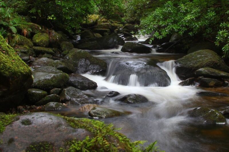 From Killarney: Ring of Kerry Full-Day Tour - The Iveragh Peninsula and Old Irish Heritage