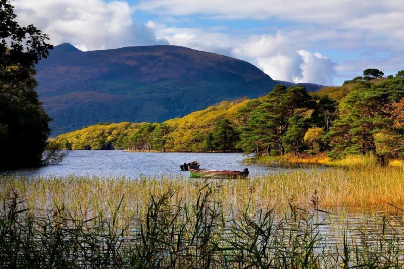 From Killarney: Ring of Kerry Full-Day Tour - Dingle Bay & Inch Beach