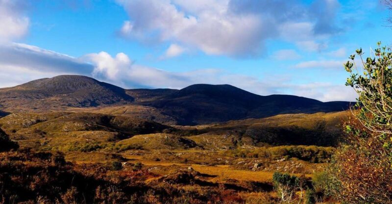 From Killarney: Ring of Kerry Full-Day Tour - Into Killarney National Park