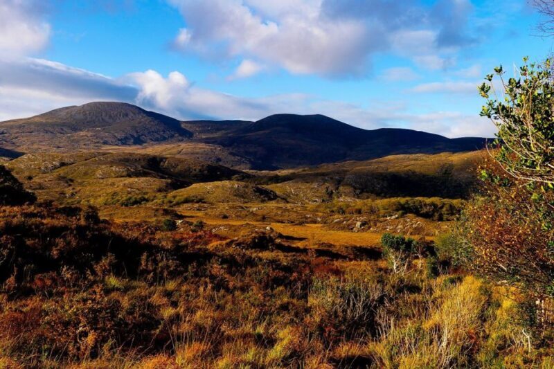 From Killarney: Ring of Kerry Full-Day Tour - Transportation