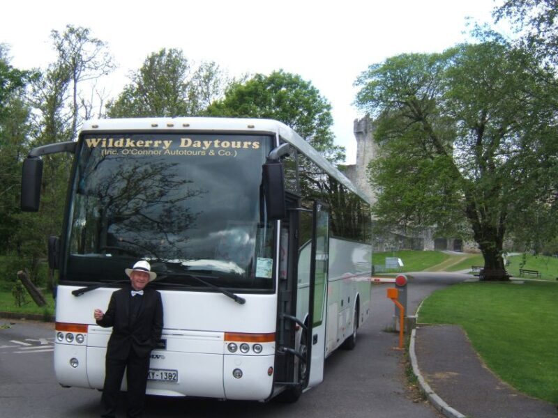 From Killarney: 'Ring of Kerry' Mountain Road 1-Day Bus Tour - Transportation and Group Size