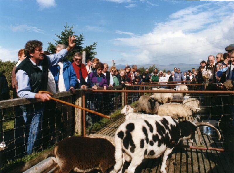 From Killarney: 'Ring of Kerry' Mountain Road 1-Day Bus Tour - Frequently Asked Questions