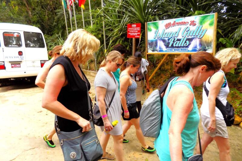 From Kingston: Blue Hole Swimming Experience in Ocho Rios - Frequently Asked Questions