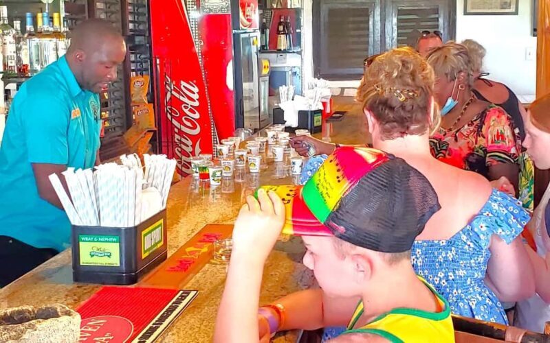 From Kingston: Bob Marley Mausoleum, Nine Mile Town Tour - The Value of Cultural and Musical Heritage