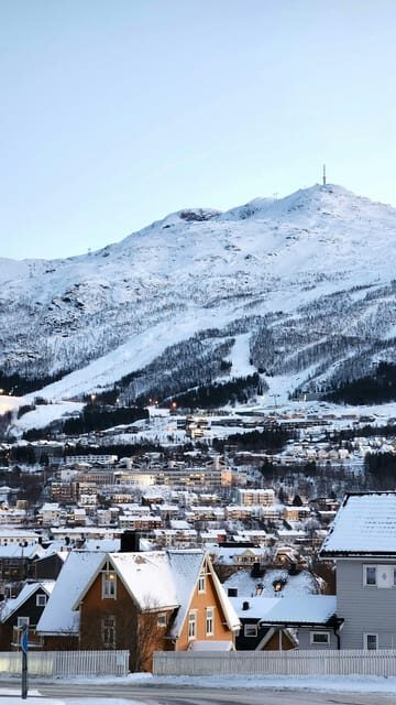 From Kiruna: Narvik City and Fjord Day Trip - What’s Included and What to Know Before You Go