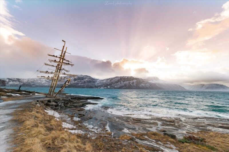 From Kiruna: Narvik City and Fjord Day Trip - Who Will Love This Tour?