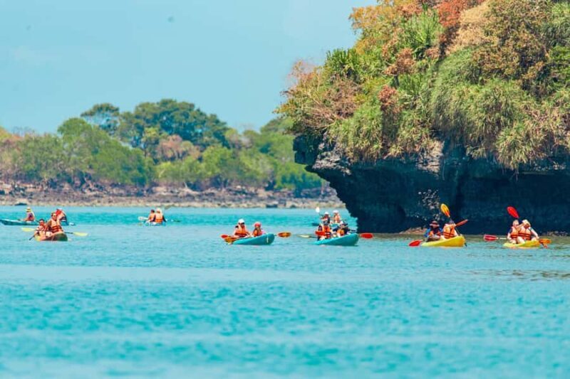 From Ko Pha Ngan: Angthong Marine Park Speedboat Adventure - Authentic Reviews to Keep in Mind