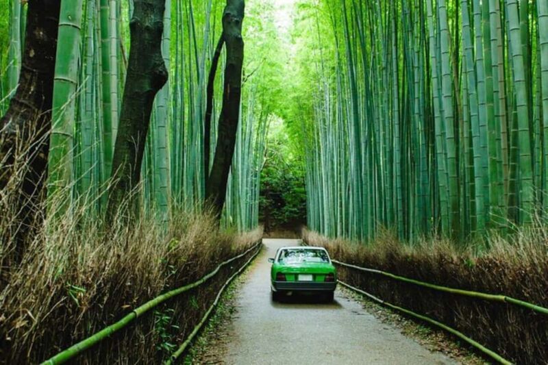 From Kobe/Osaka: Kyoto Full-Day Guided Tour with Vehicle - The Itinerary: A Deep Dive