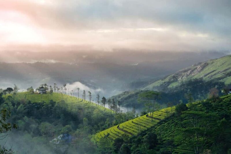 From Kochi:- 02 Days Munnar Hill Station & Nature Walk Tour - Key Points