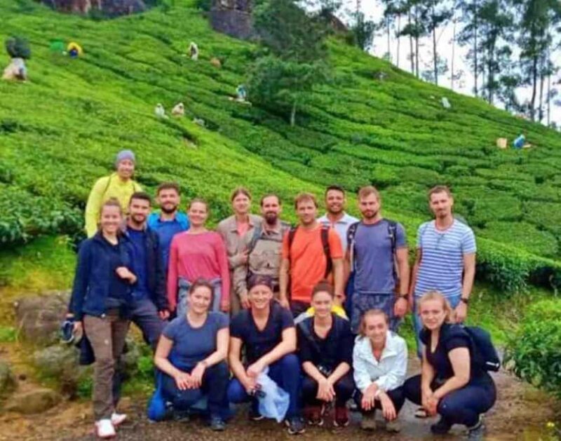 From Kochi:- 02 Days Munnar Hill Station & Nature Walk Tour - An Introduction to the Munnar Experience