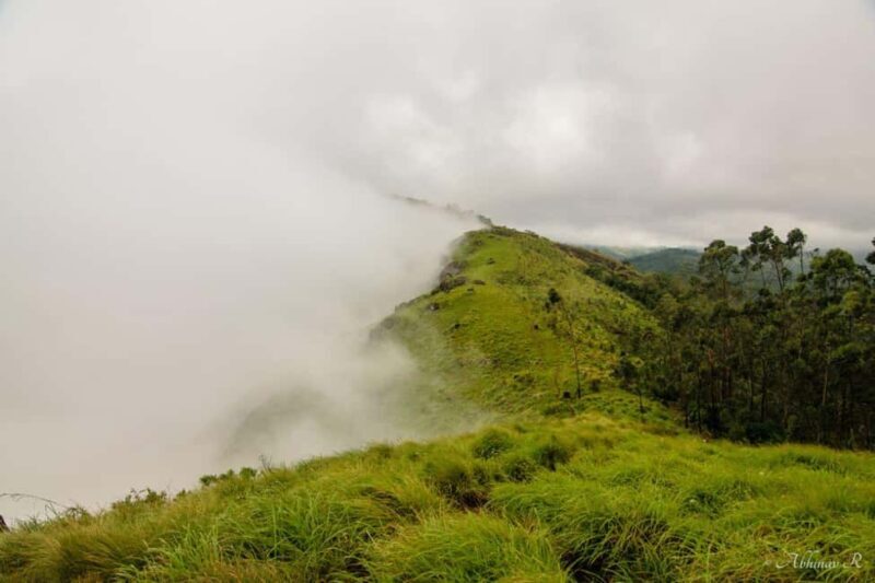 From Kochi:- 02 Days Munnar Hill Station & Nature Walk Tour - The Sum Up: Who Will Love This Tour?
