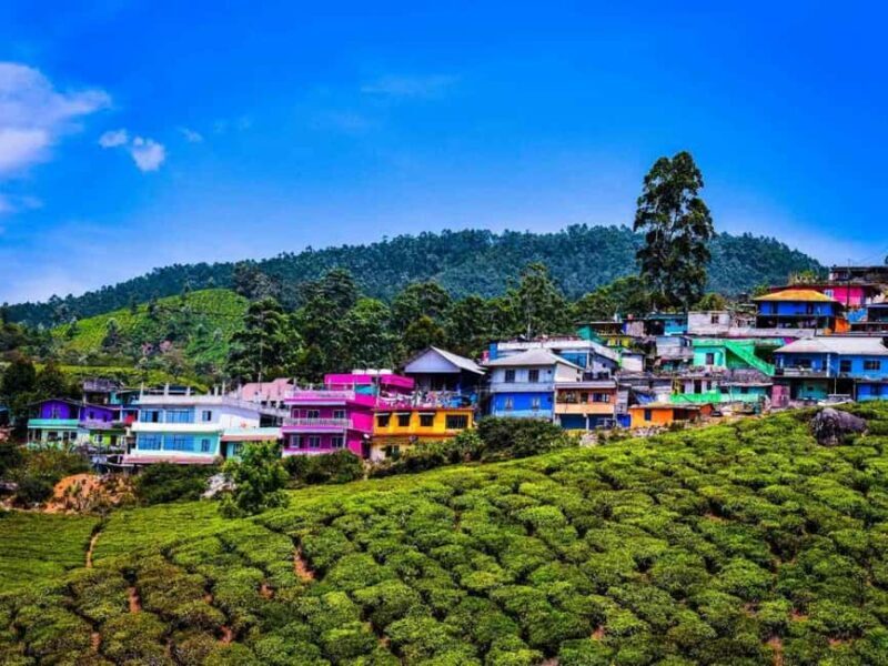 From Kochi:- 02 Days, Munnar Nature Beauty Hill Station Tour - Key Points
