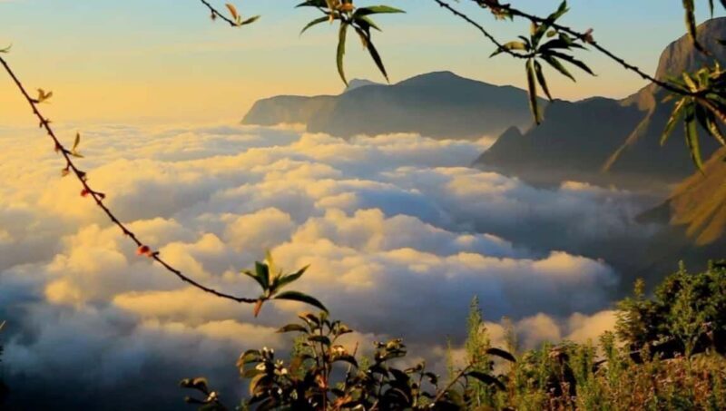 From Kochi:- 02 Days, Munnar Nature Beauty Hill Station Tour - Exploring the 2-Day Munnar Hill Station Tour