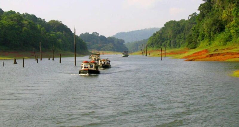 From Kochi:- 02 Days Periyar Wildlife Tour with Nature Walk - In-Depth Look at the Tour Experience