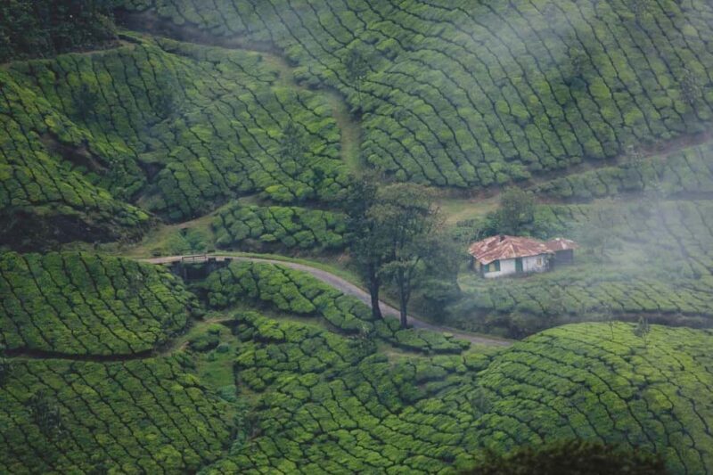 From Kochi:- 03 Days Cochin with Munnar Hill Station Tour - FAQs