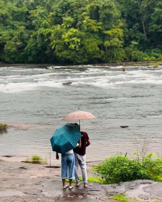 From Kochi: Athirappilly Waterfalls Day Trip with Transfers - Discover the Magic of Athirappilly Waterfalls with a Day Trip from Kochi