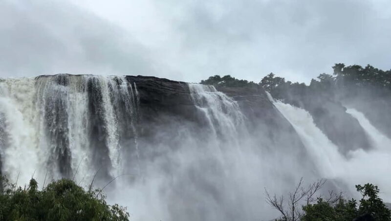 From Kochi: Athirappilly Waterfalls Day Trip with Transfers - The Sum Up