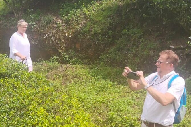From Kochi: Day Tour to Munnar with Tea Garden and Waterfalls - Introduction