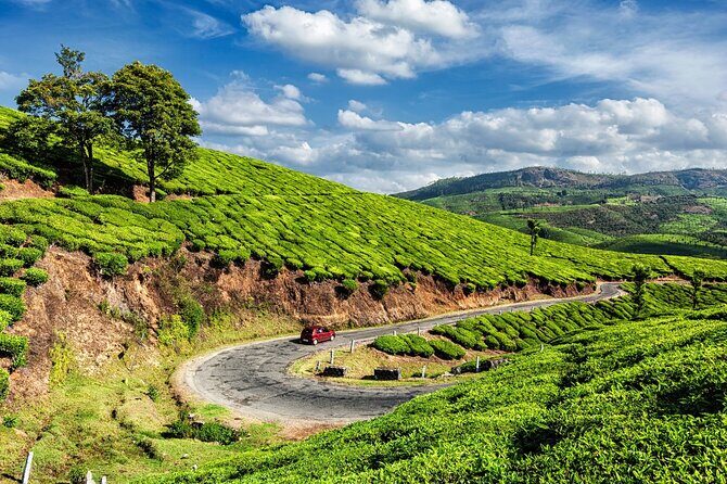 From Kochi: Day Tour to Munnar with Tea Garden and Waterfalls - Key Points