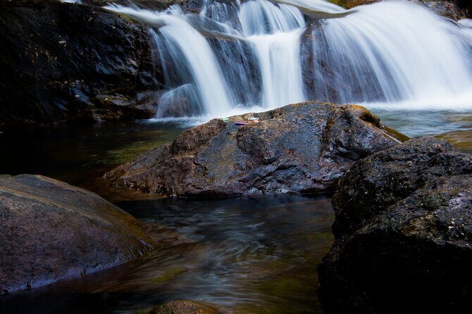 From Kochi: Day Tour to Munnar with Tea Garden and Waterfalls - Who is This Tour Best For?