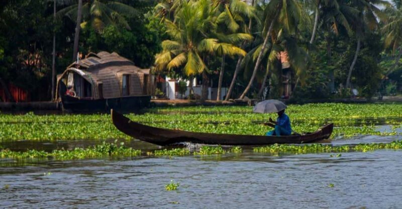 From Kochi: Kumbalangi Village Same Day Tour - The Experience in Depth