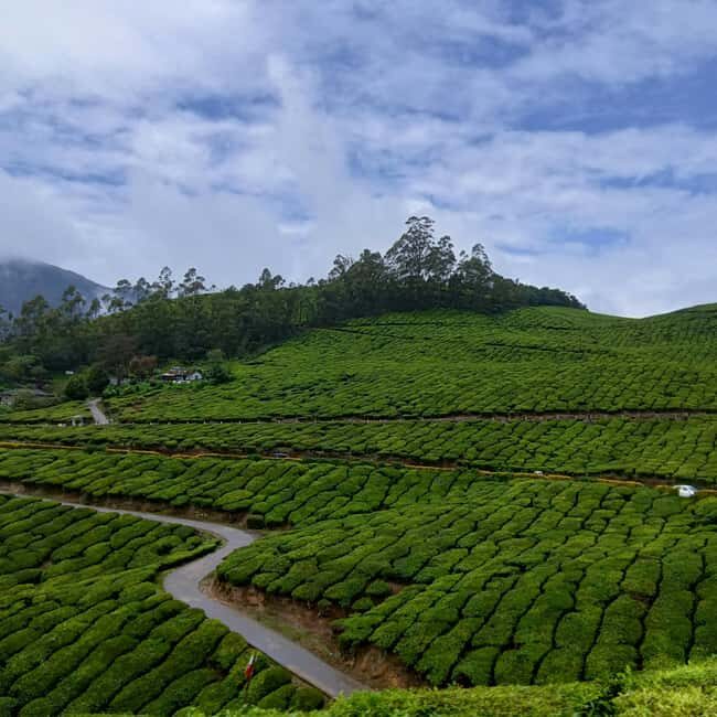 From Kochi: Munnar Hill Station Day Trip - FAQ