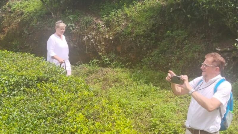 From Kochi: Munnar & Tea Museum Private Guided Tour - A Closer Look at the Munnar & Tea Museum Tour