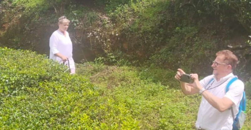 From Kochi: Munnar & Tea Museum Private Guided Tour - Who Will Love This Tour?