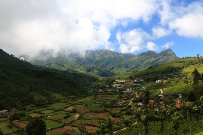 From Kochi: Munnar & Tea Museum Private Guided Tour - FAQs