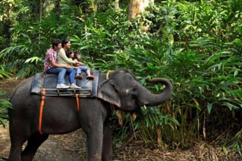 From Kochi:- Periyar Elephant Bath, Nature Walk Guided Tour - The Sum Up