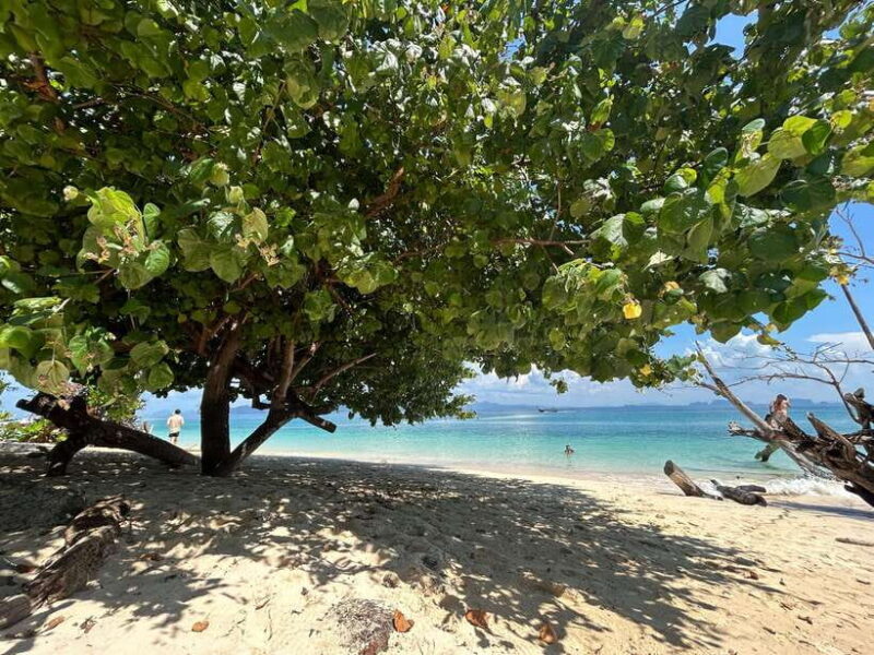 From Koh Lanta: 4 Islands Adventure- Emerald Cave&Koh Kradan - The Potential Drawbacks