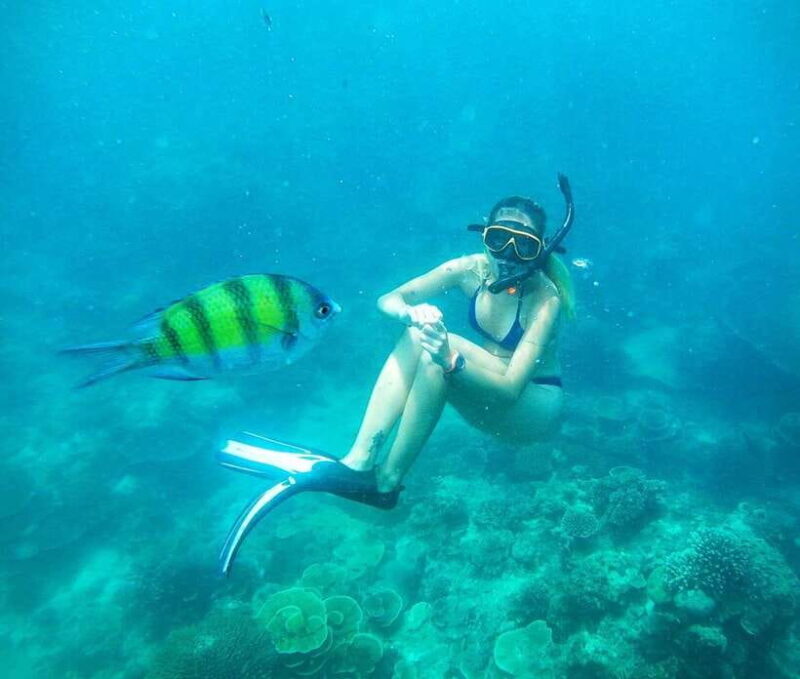From Koh Lanta: Koh Haa & Koh Rok Snorkel Tour by Speedboat - FAQ
