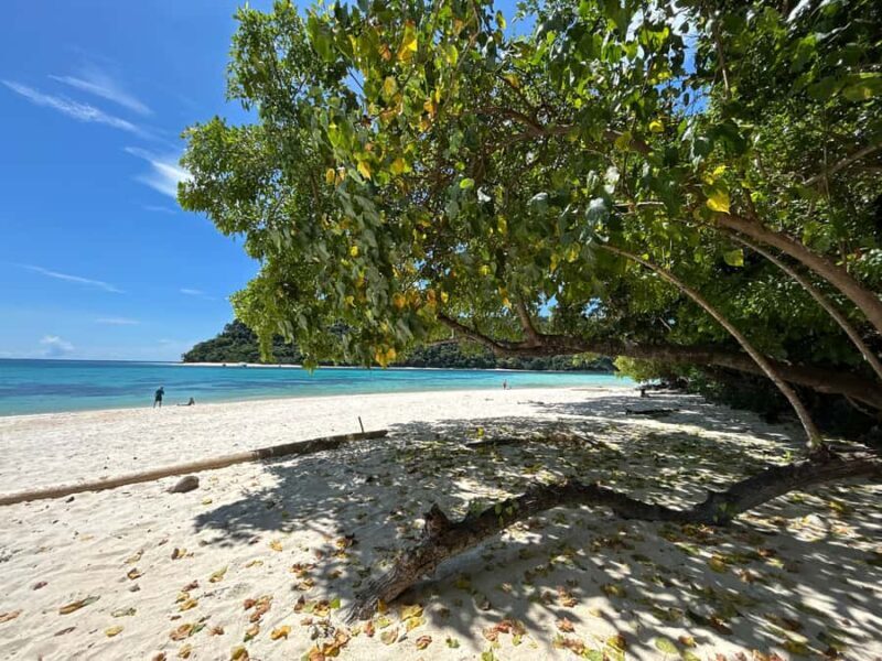 From Koh Lanta: Koh Rok and Koh Ha Day Tour-Queen of Andaman - Who Will Appreciate This Tour?