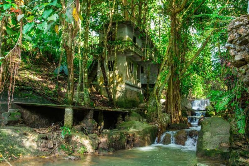 From Koh Samui: Elephant Sanctuary & Jungle Adventure Tour - The Sum Up