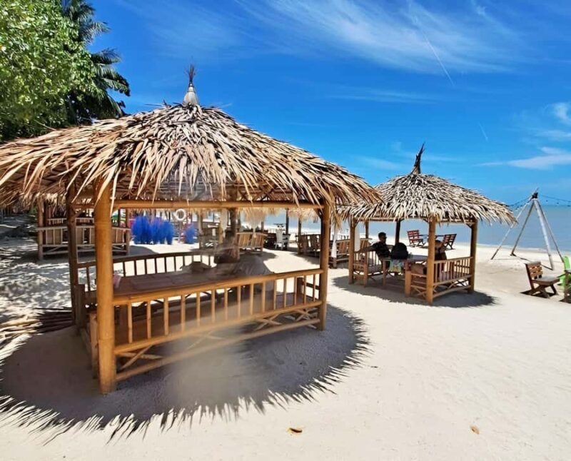 From Koh Samui: Pink Dolphin Boat Tour to Khanom with Lunch - What This Tour Offers You