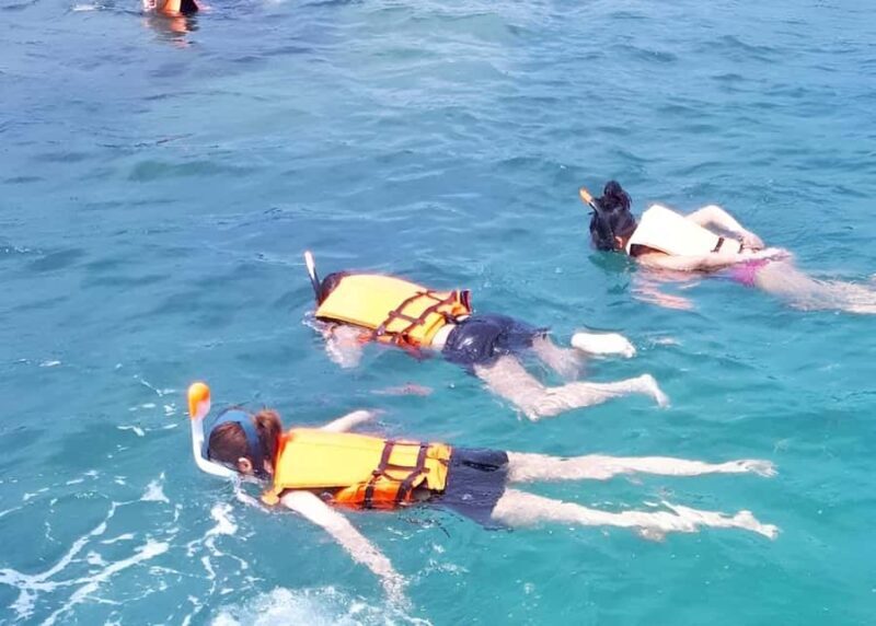 From Koh Samui: Pink Dolphin Boat Tour to Khanom with Lunch - Who Would Enjoy This Tour?