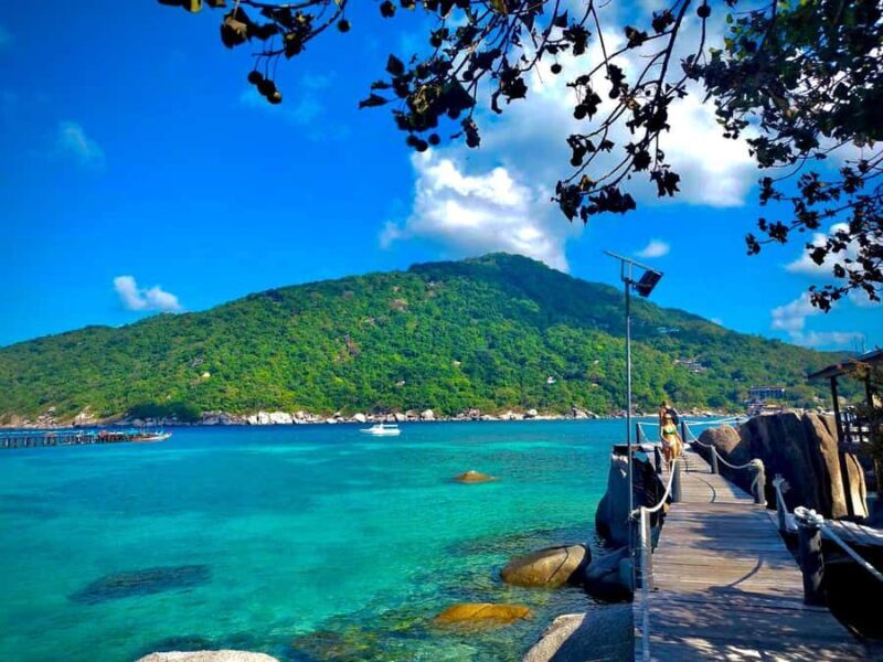 From Koh Samui: Private Speed Boat Koh Tao & Nang Yuan - Key Points