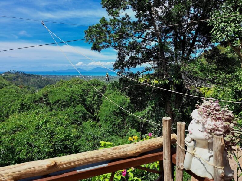 From Koh Samui: Tree Bridge Zipline & Café Adventure - The Final Word