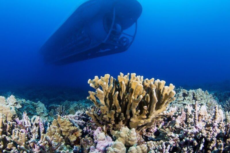 From Kona: Big Island Underwater Submarine Adventure - How the Tour Works: From Check-in to Underwater Viewing